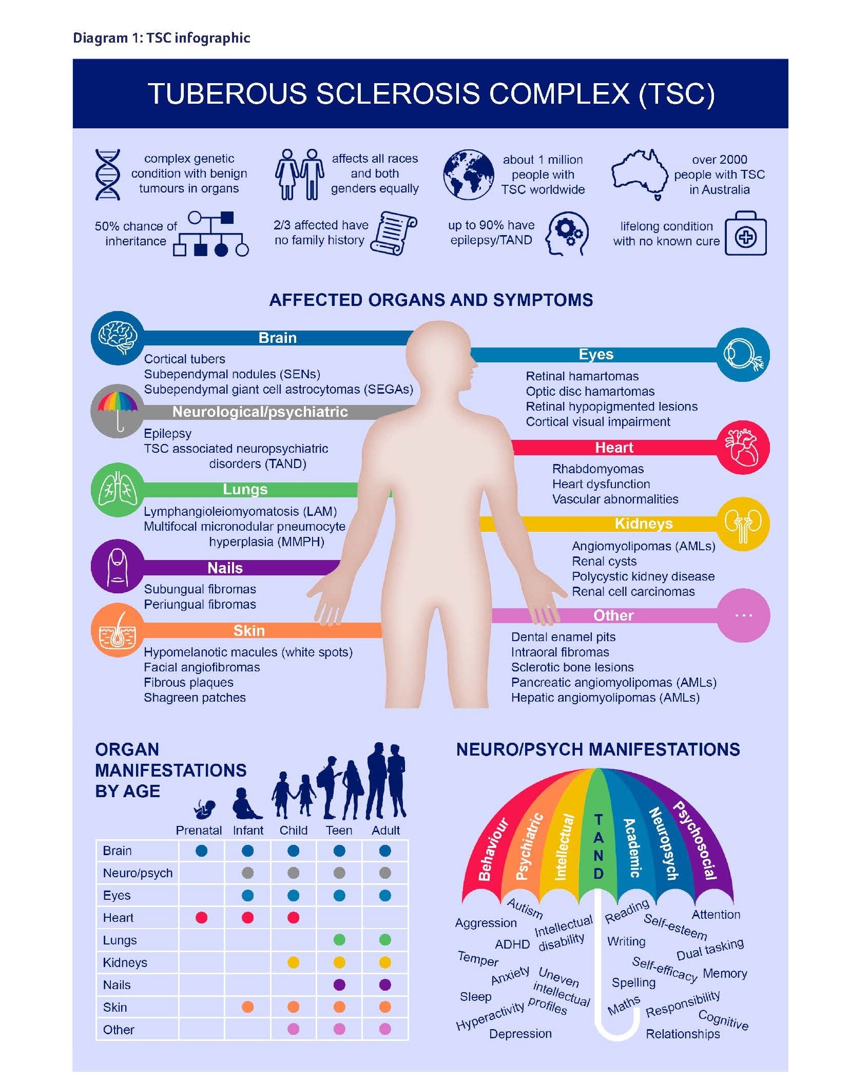 Managing Tuberous Sclerosis Complex Across the Lifespan: A Resource for General Practitioners ...